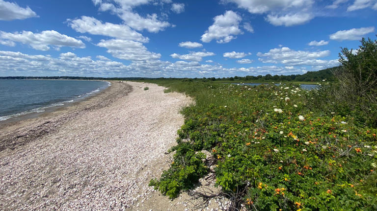 A Stretch Of Connecticut's Coast Offers A Beachy State Park With ...