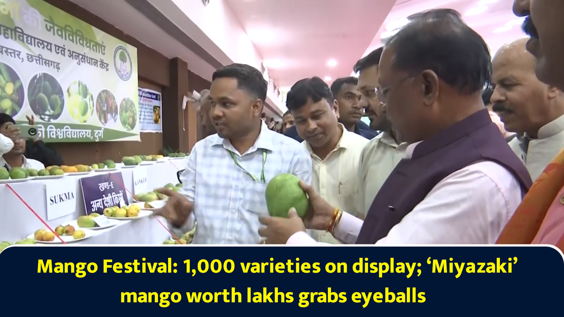 Mango Festival: 1,000 varieties on display; ‘Miyazaki’ mango worth ...