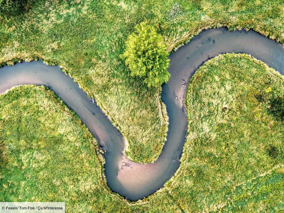 Ce qui distingue vraiment un fleuve d’une rivière. Ne faites plus la ...