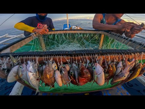 How we landed these giant fish! 🎣