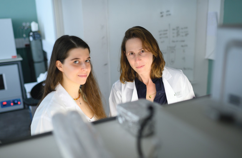 New study reveals the cellular network behind food tolerance and allergies