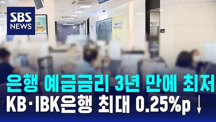 은행 예금금리 3년 만에 최저…KB·IBK은행 최대 0.25%p↓ / SBS