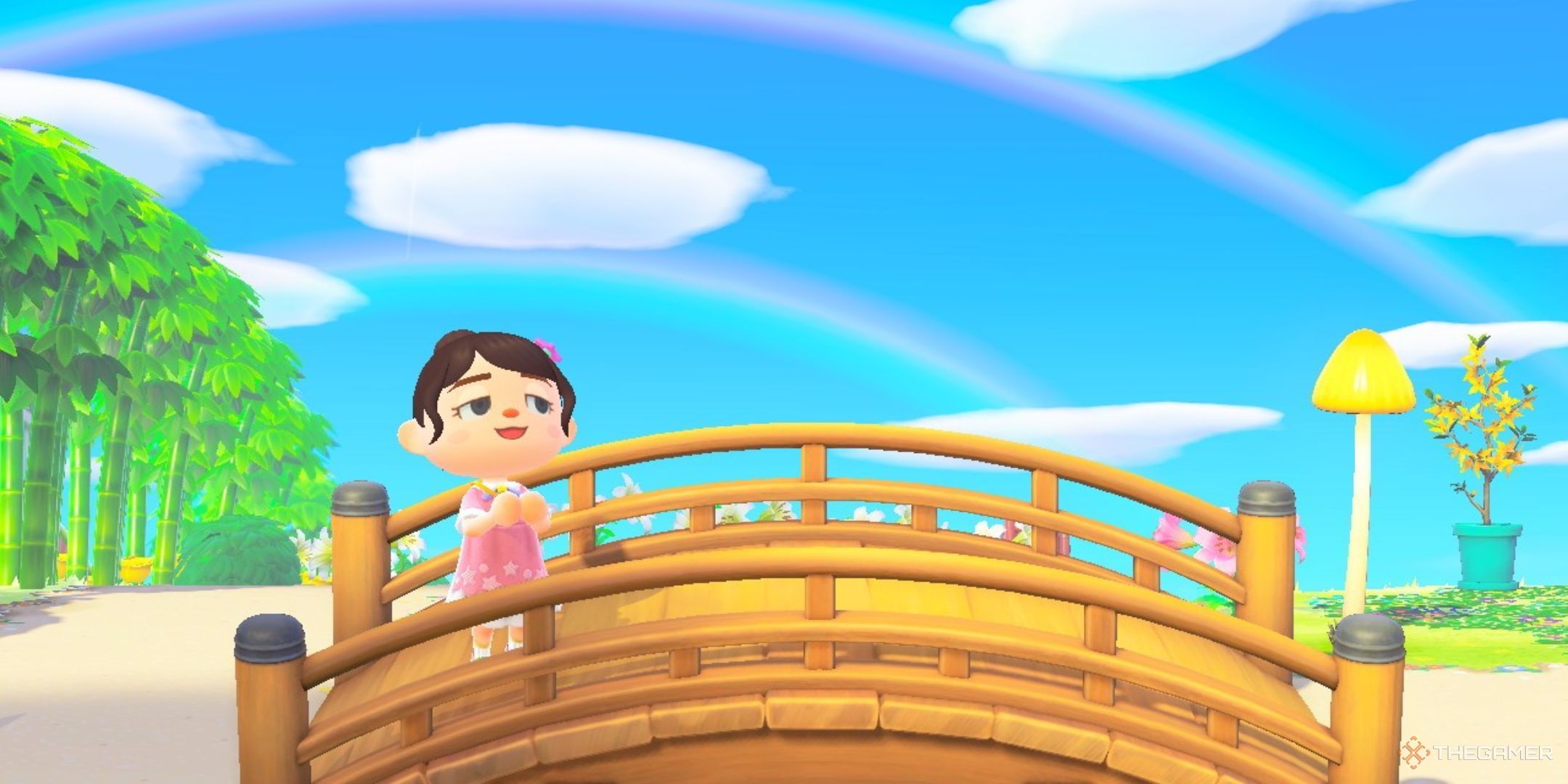 If You're An Animal Crossing Player, How Many Of These Things Have You ...