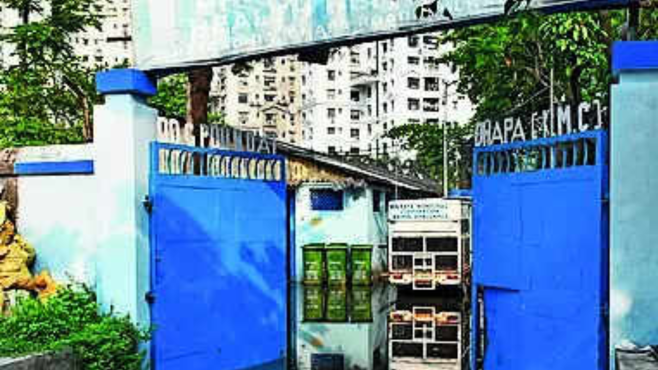 'Sensing danger, stray animals barked loudly': 140 dogs struggle ...