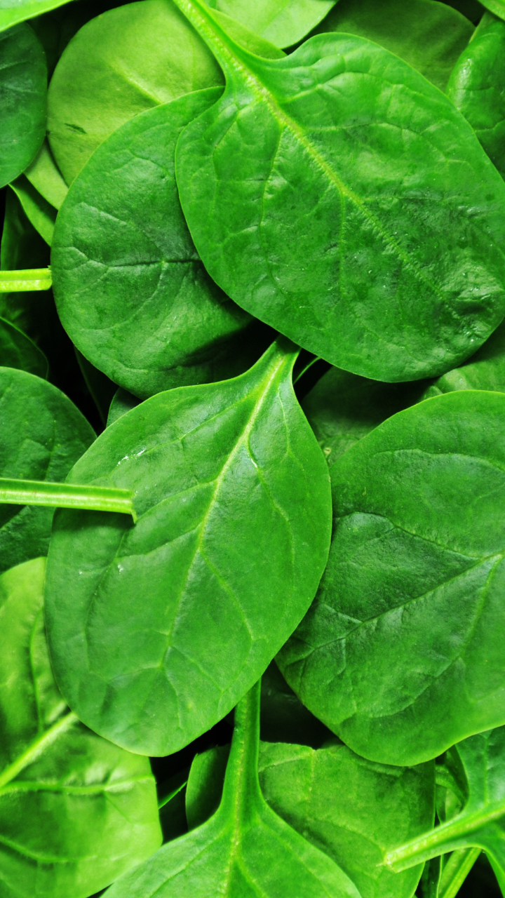 10 fiber-rich dishes one can make with Spinach