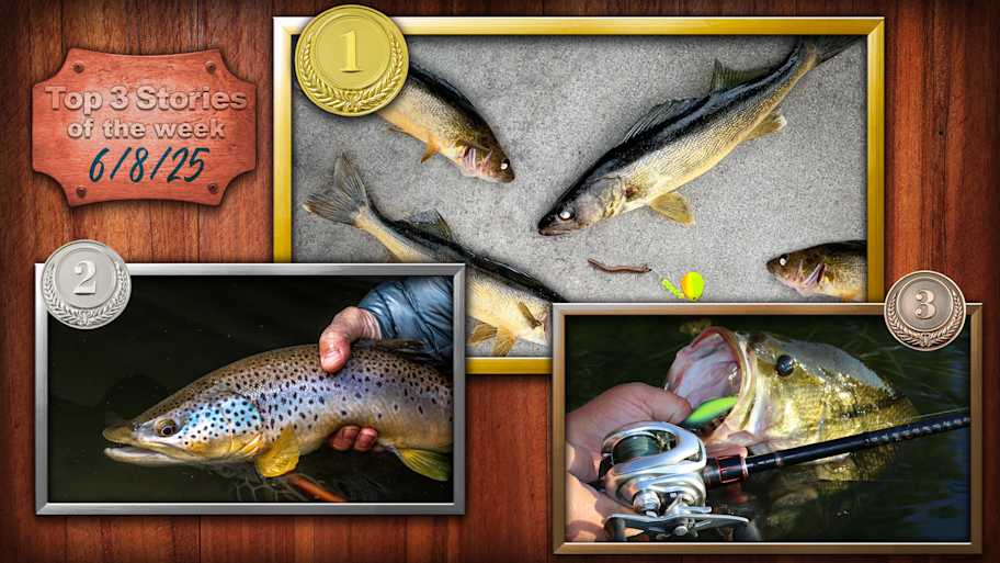 Top 3 Fishing Stories of the Week: Spinners for Weed Walleye, Brown ...