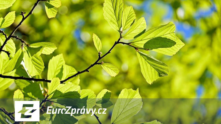 Počasí dnes ve znamení tropů. Zítra se budou teploty lišit až o 14 stupňů