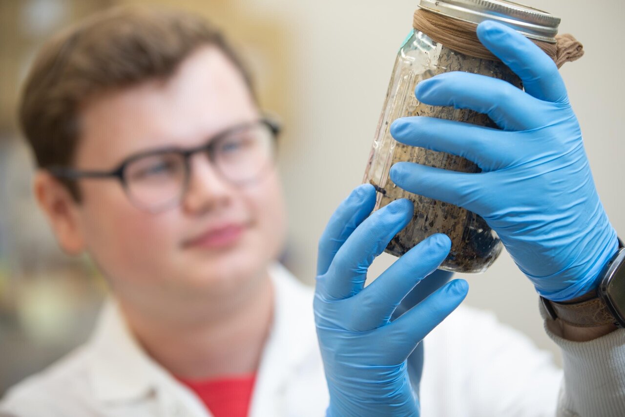 Scientists investigate parasite's lifecycle to combat deadly Chagas disease