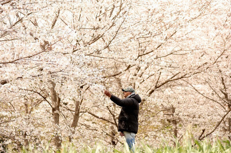 Driven by war, persecution, asylum seekers in Japan still far from ...