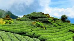 10 Tempat Sarapan Favorit di Bandung, Buka dari Pagi Buta!