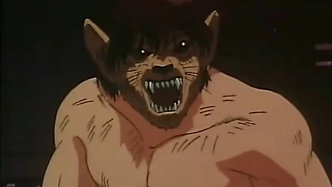 30 Best Wolf Anime of All Time You Need to Watch