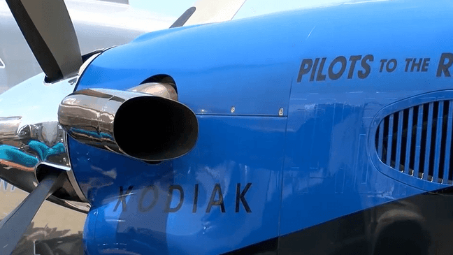 Pilots To The Rescue flies animals from SC to new beginnings up north