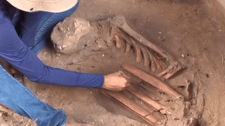 How 6,000-Year-Old Skeletons with "Alien" DNA Are Reshaping Human History