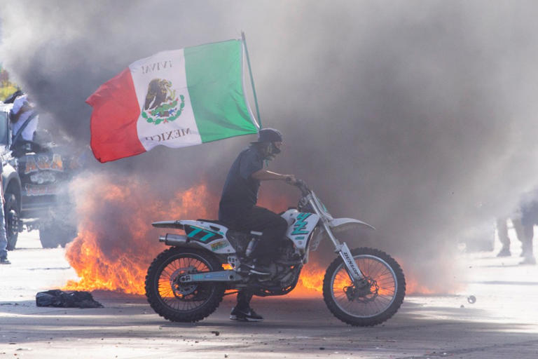 Mexican flag-waving masked protester becomes the symbol of LA anti-ICE ...