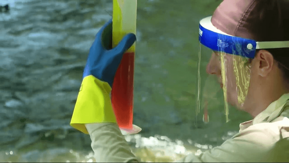 New study explores sterilization to control invasive sea lamprey