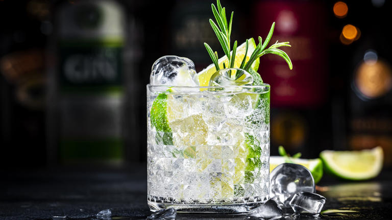 2 Simple Cocktails That Prove Gin And Ginger Ale Are A Perfect Pair