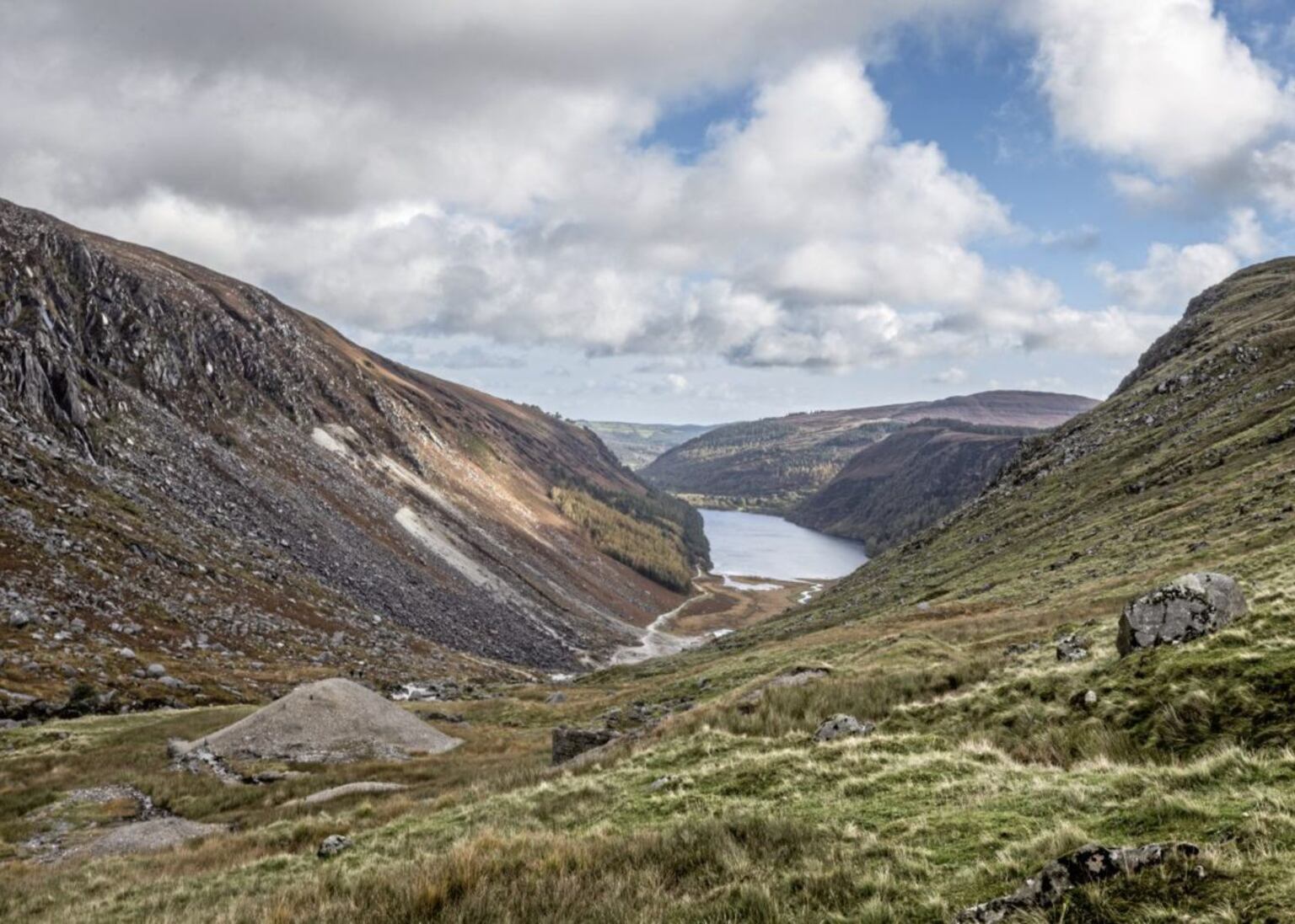 Online chatter saves Beyond The Pale music festival as ‘highly-regarded ...