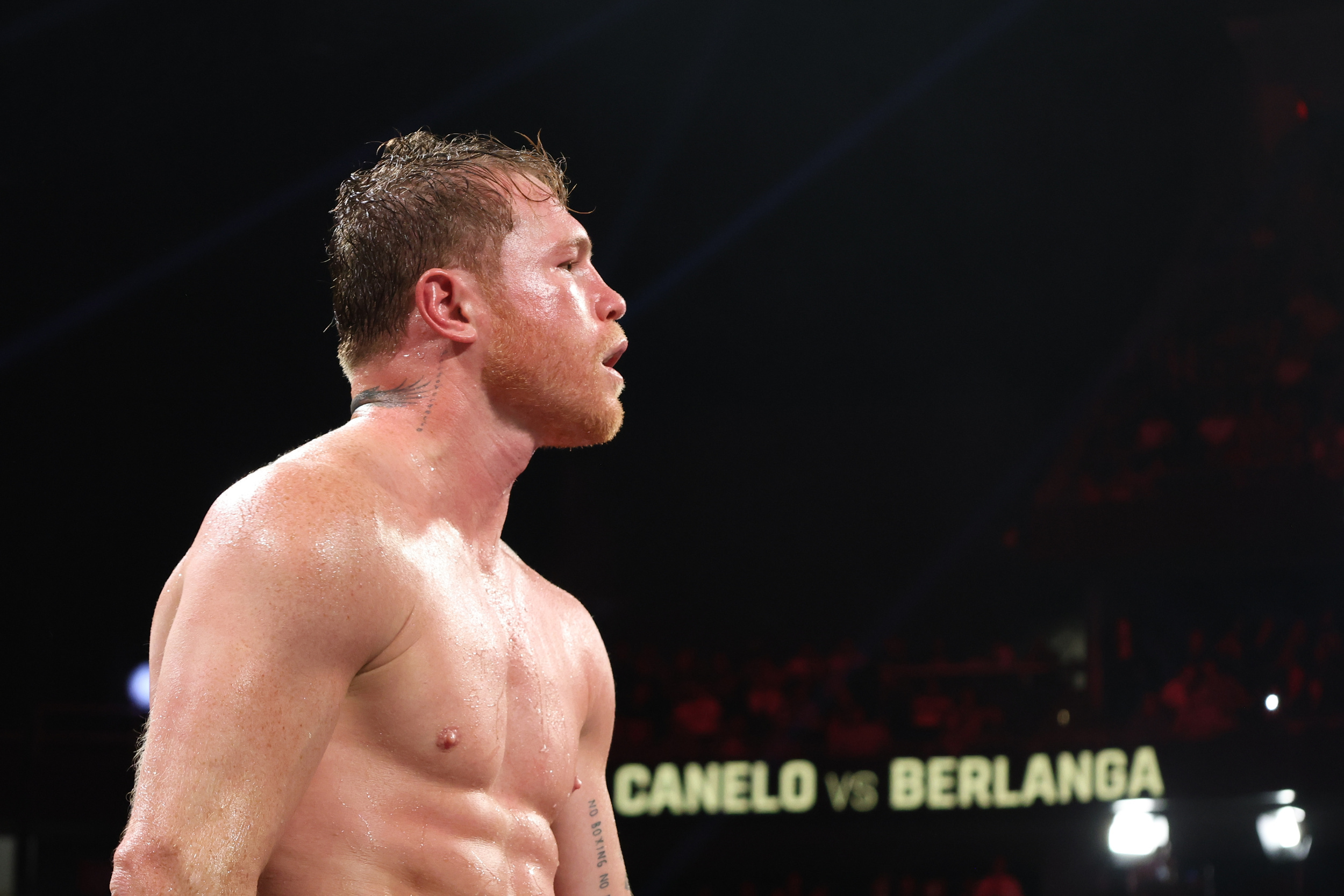 Canelo vs Crawford: Turki Alalshikh Reveals Key Detail
