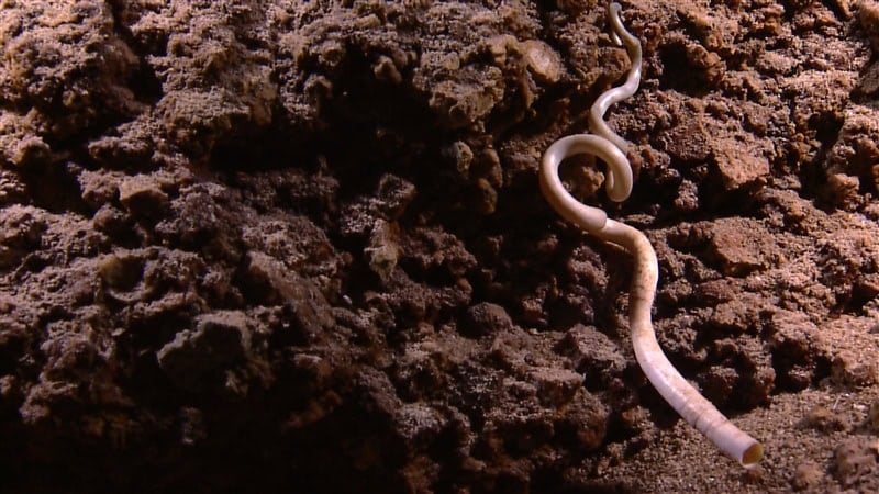 Can you recognize the actors behind these characters?