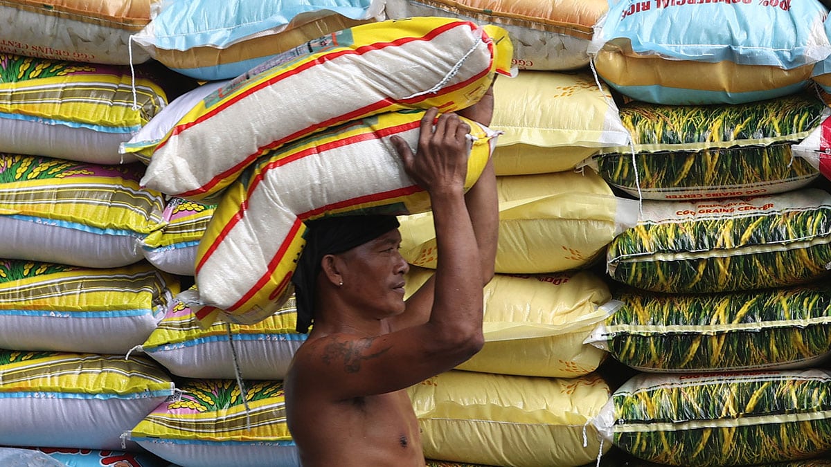 USDA forecasts slightly higher local rice yield