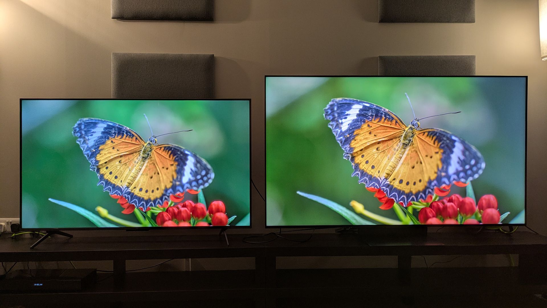 I compared a new cheap mini-LED TV to a mid-range model, and here’s why ...