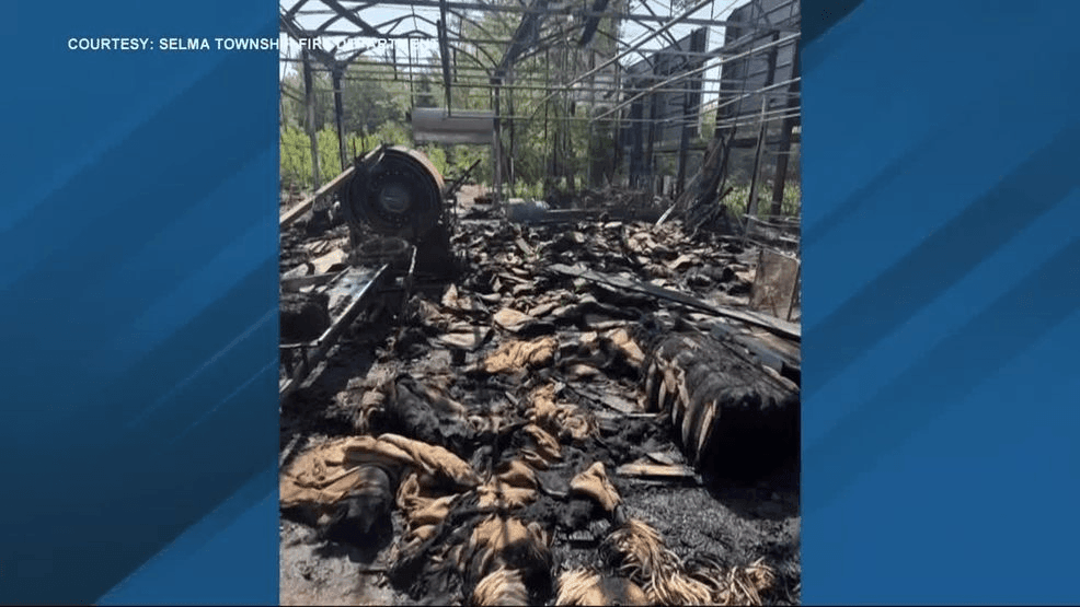 Greenhouse fire in Selma Township under investigation