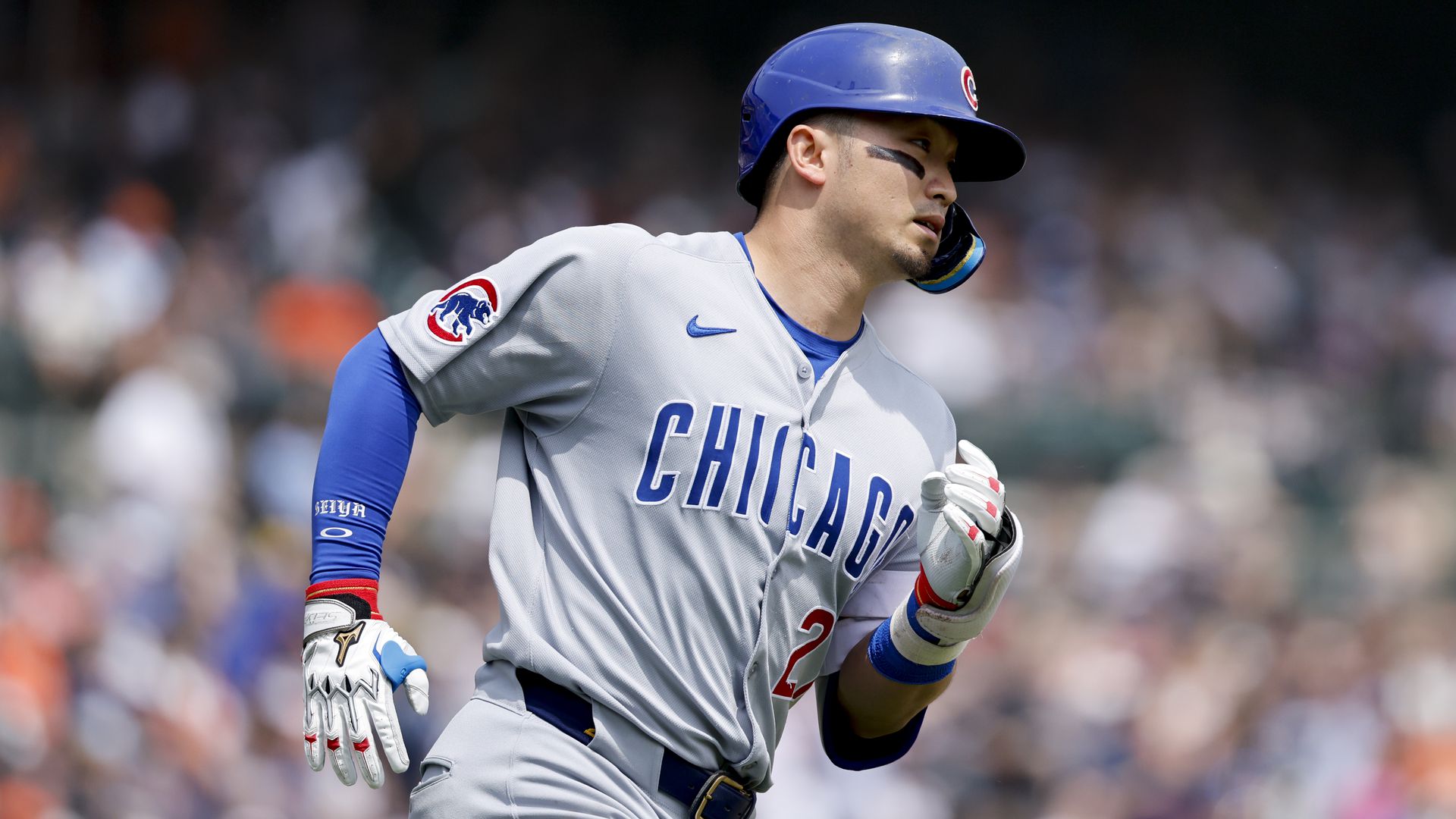 Cub Tracks’ type casting