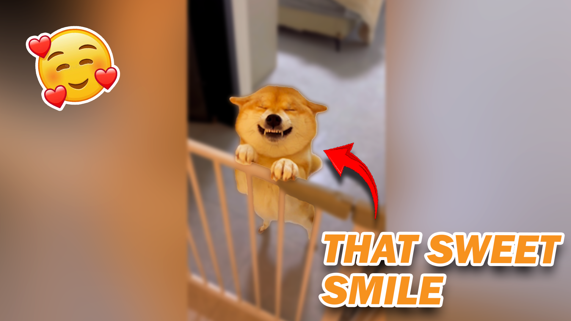 When a Dog Is Funnier Than a Comedian 😂🐶 | Must-See Funny Dog Video!