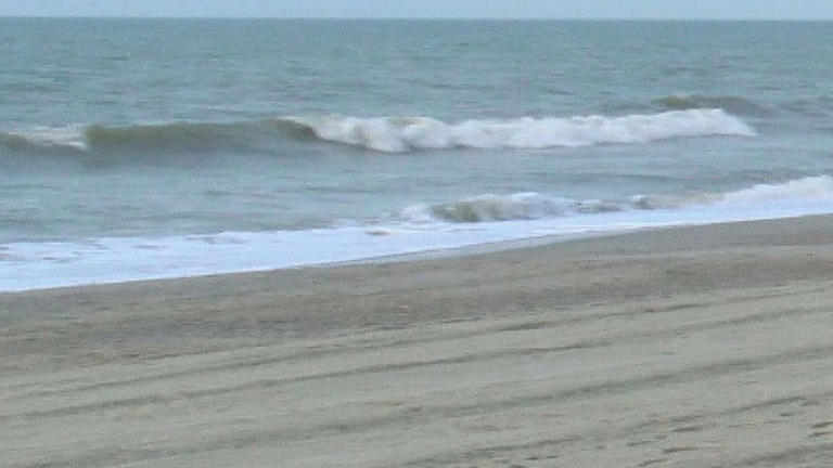 Tybee Clean Beach Volunteers to host a World Oceans Day beach sweep