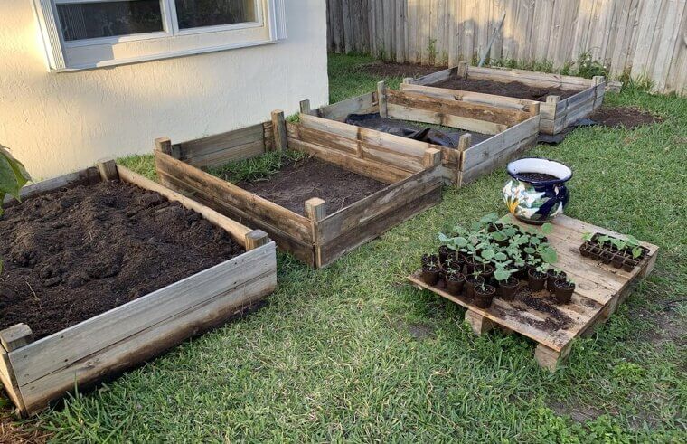 13 DIY Gardening Myths That Waste Your Money