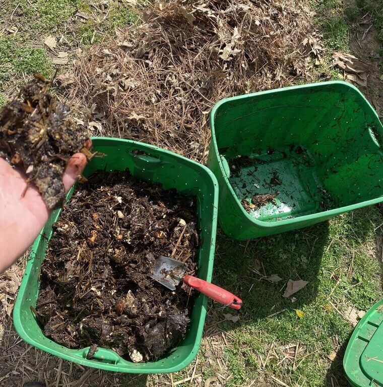 13 DIY Gardening Myths That Waste Your Money