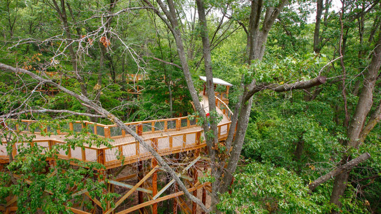 Hidden In The Woods Of This Charming Ohio Park Is A Beautiful Boardwalk ...