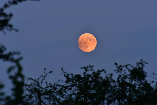 When is the Strawberry Moon and how to see it?