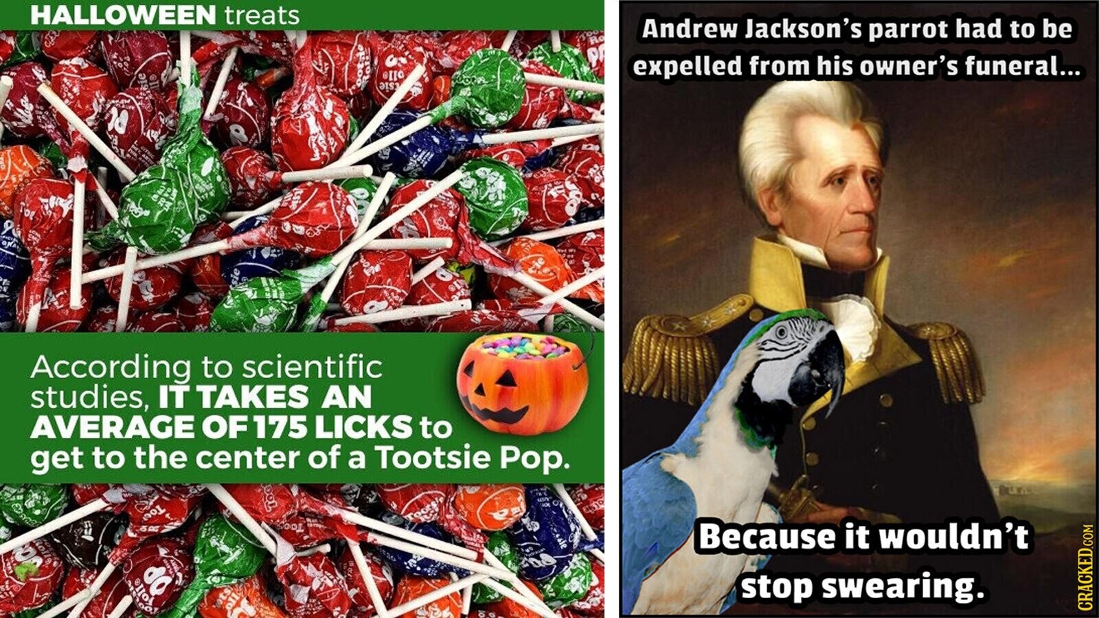 24 Concentrated Bits of Trivia That You Might Want to Water Down Before ...