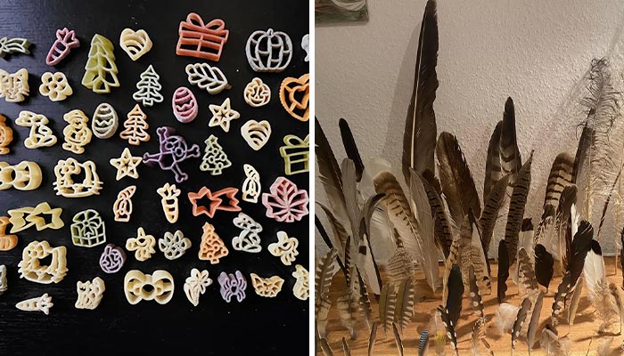 42 People Reveal Their Most Unusual Obsessions Turned Into Full-On ...