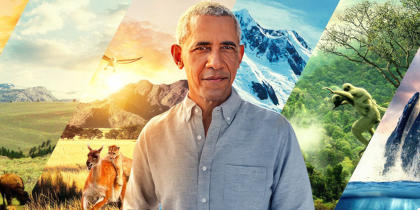 The 10 Best Netflix Original Nature Documentaries, Ranked