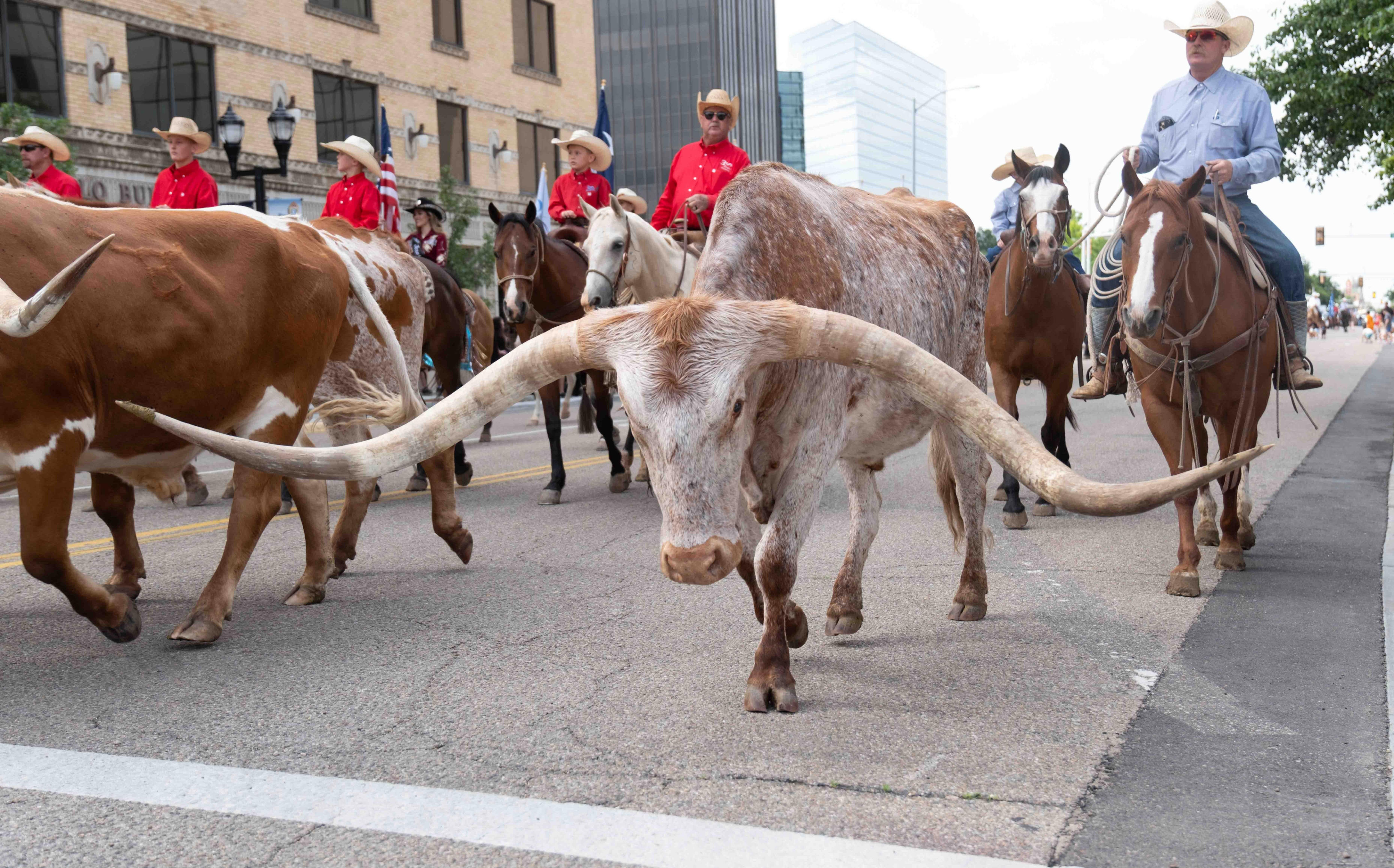 June 4-7 events in Amarillo area you won't want to miss