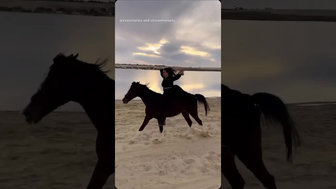 streamhorse: air amir horse riding on beach