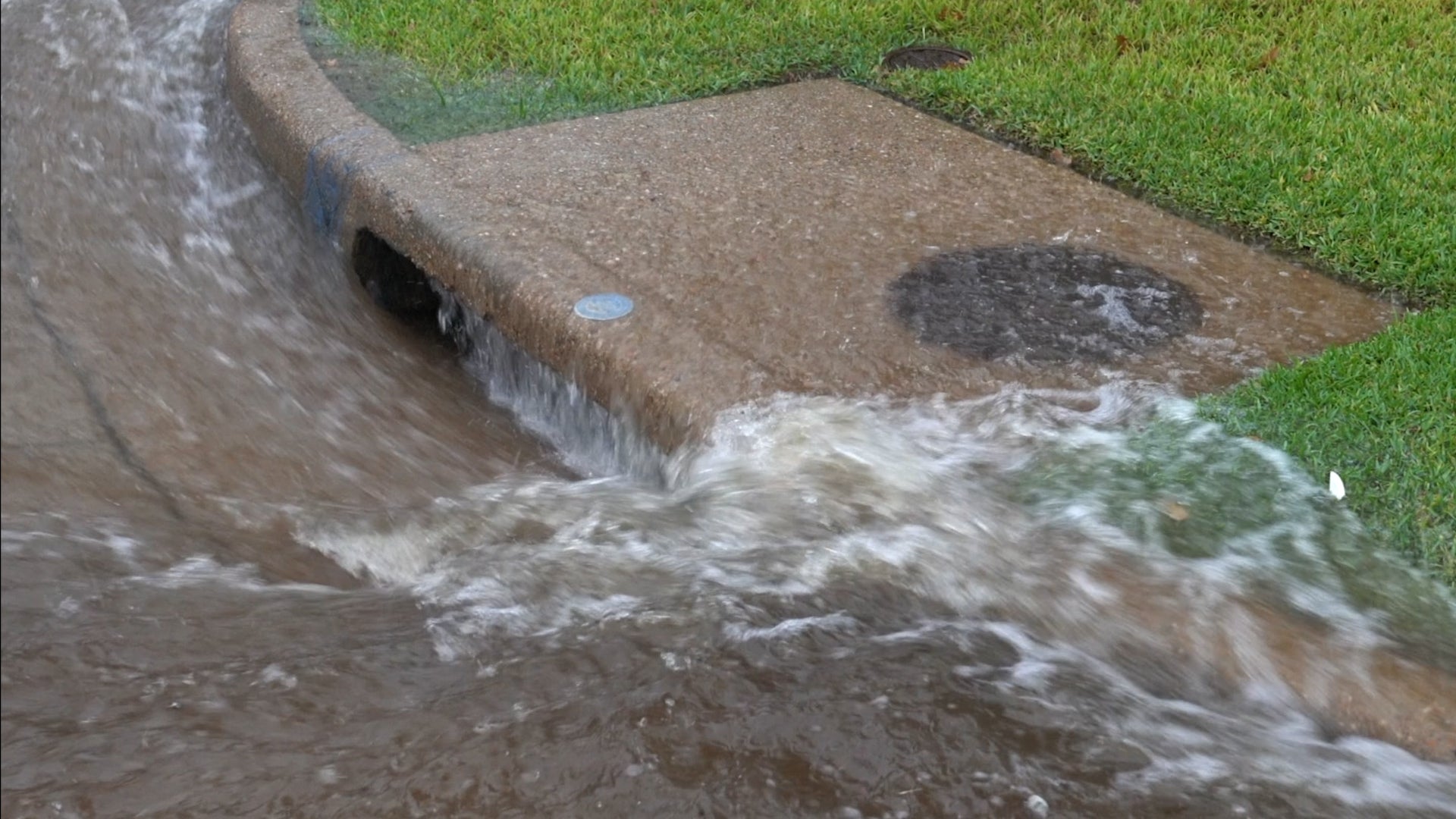 The Dangers Of Too Much Rain In Your Garden