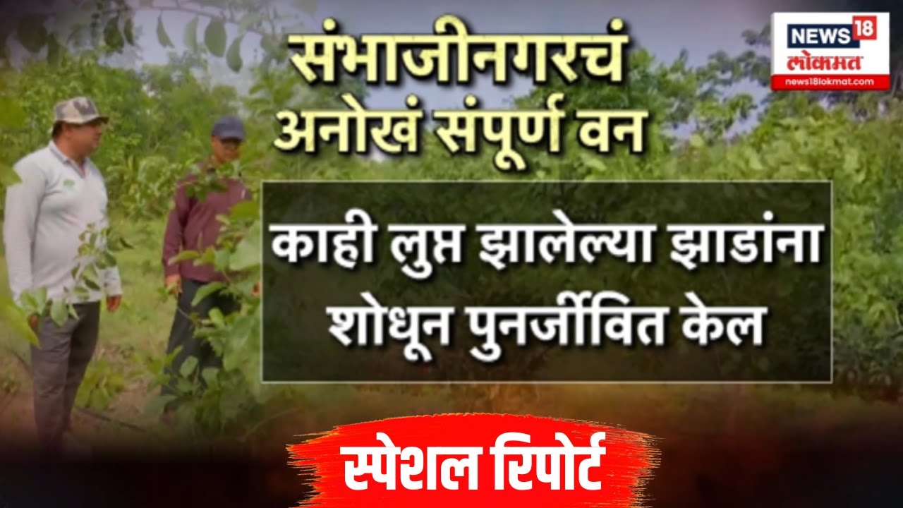 Prashant Giri Special report । एक ध्येय, एक वन अन् 22 हजार झाडे; ध्येय वेडा अख्खं वनच जोपासतोय