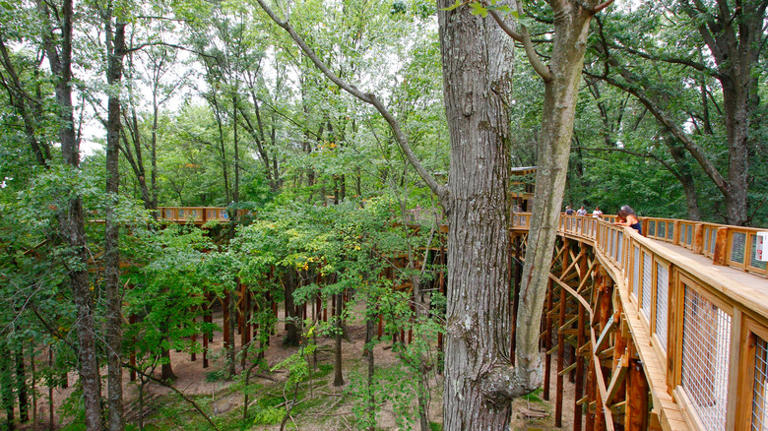 Hidden In The Woods Of This Charming Ohio Park Is A Beautiful Boardwalk ...