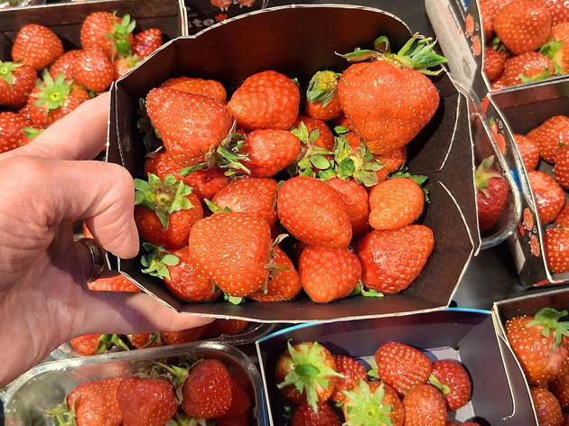 Aldi-Kunden greifen zu zweifelhaftem Erdbeer-Trick: „Passiert immer wieder“