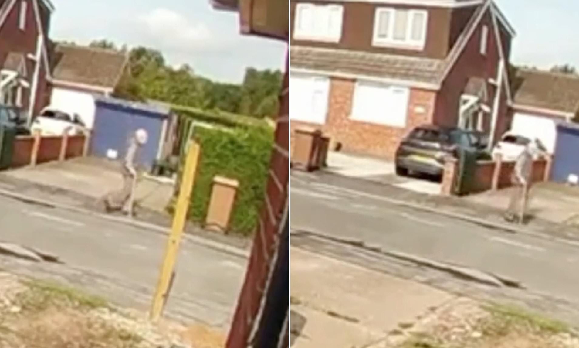 Moment frail missing OAP uses cane to walk along street: Police release ...