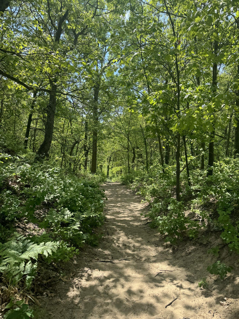 Indiana Dunes National Park one day itinerary