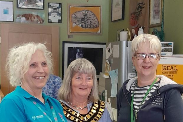 Swindon mayor Fay Howard praises volunteers at special event