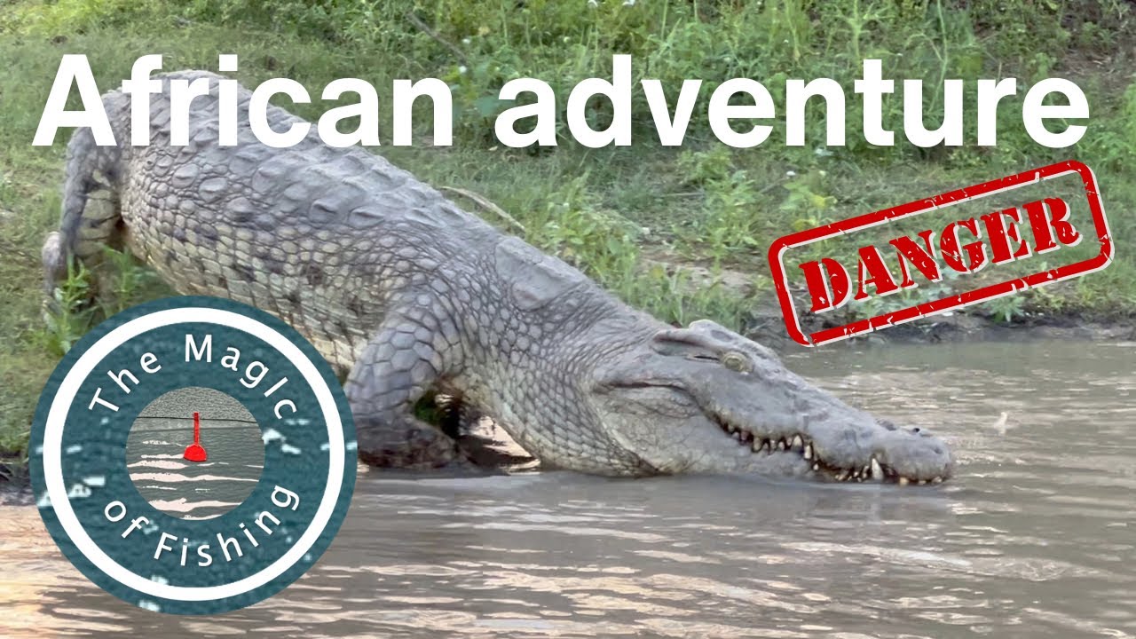 Fishing with Crocs (Warning; Includes Some Graphic Nature Footage)