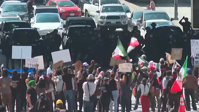 Anti-ICE protesters block LA freeway as police try to quell chaos