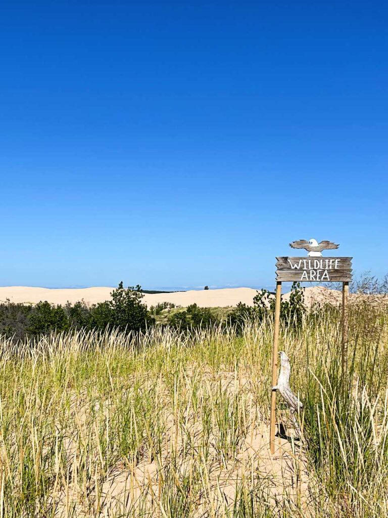 Ultimate Michigan Coastal Road Trip Guide: Lighthouses and Legends