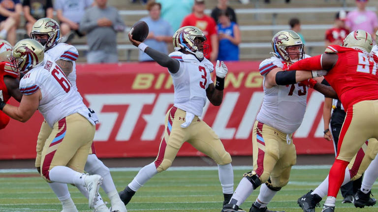 Michigan Panthers win 44-29 against Stallions, advance to UFL championship