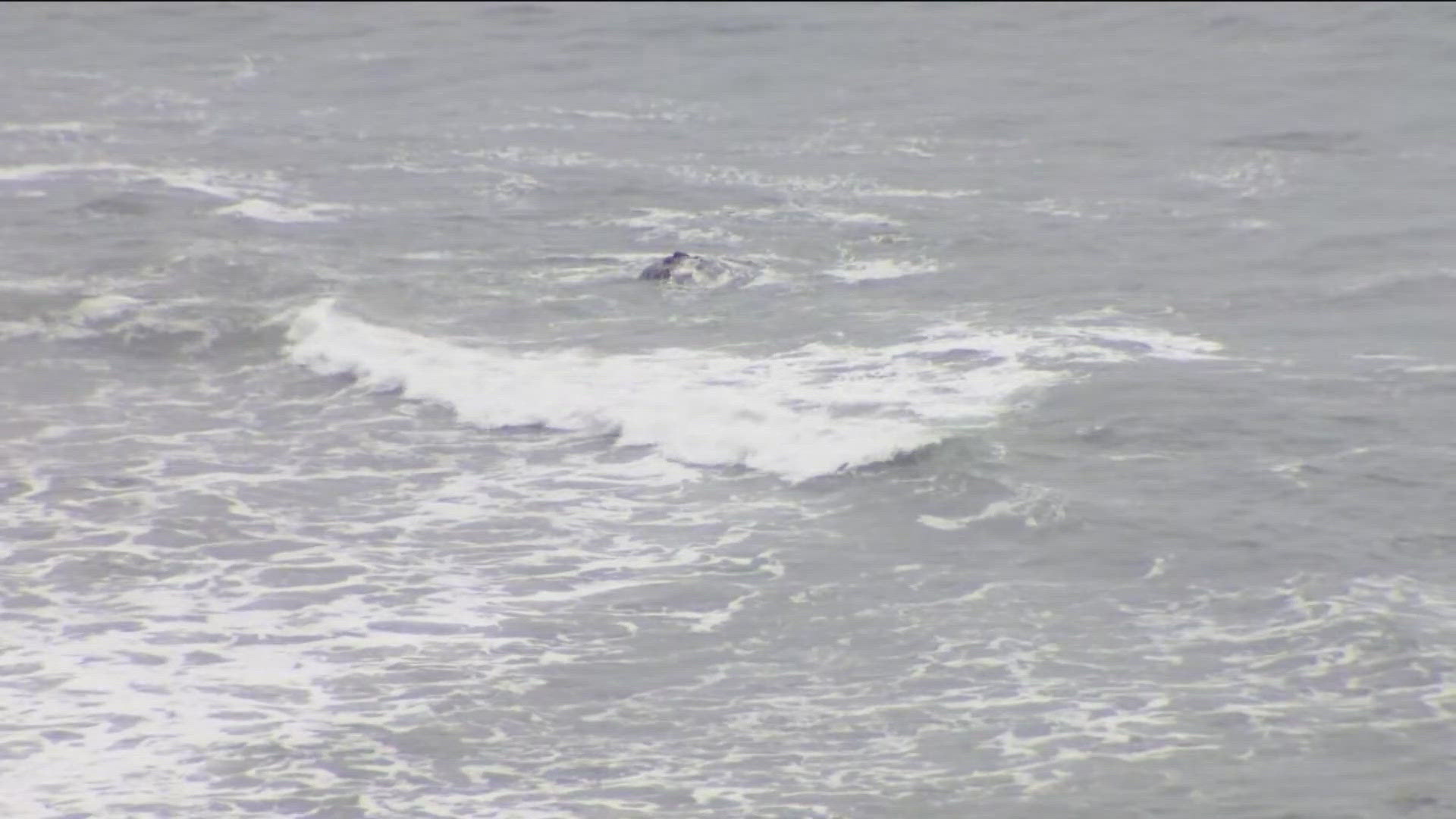 Plane crashes off Point Loma coast, 6 people missing | 5 p.m. update